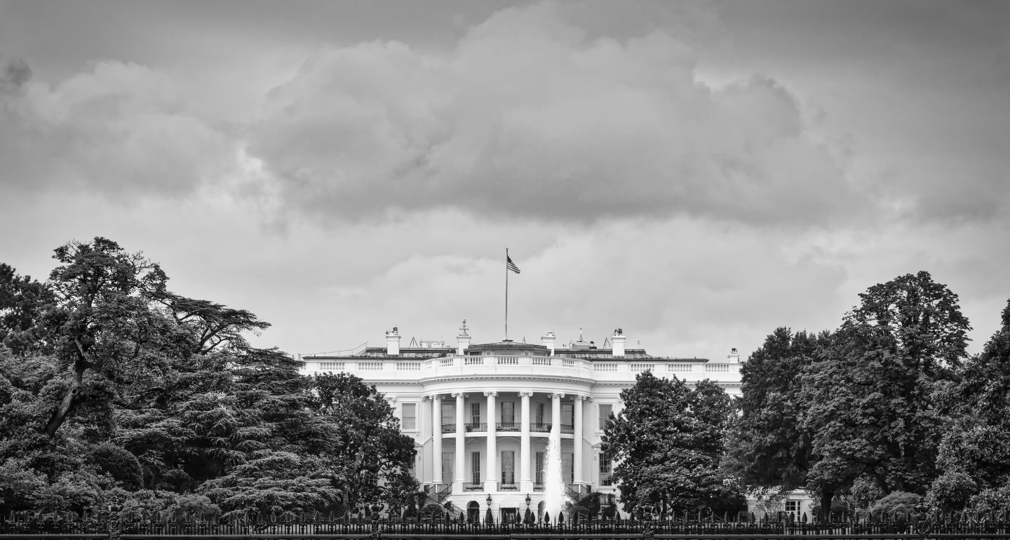 2024 Election Response - Local Progress Impact Lab